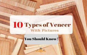 10 Types Of Wood Veneer [You Should Know] - Start Woodworking Now