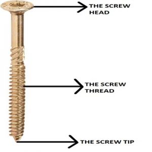 How To Screw Into Wood [In A Easy Way] - Start Woodworking Now